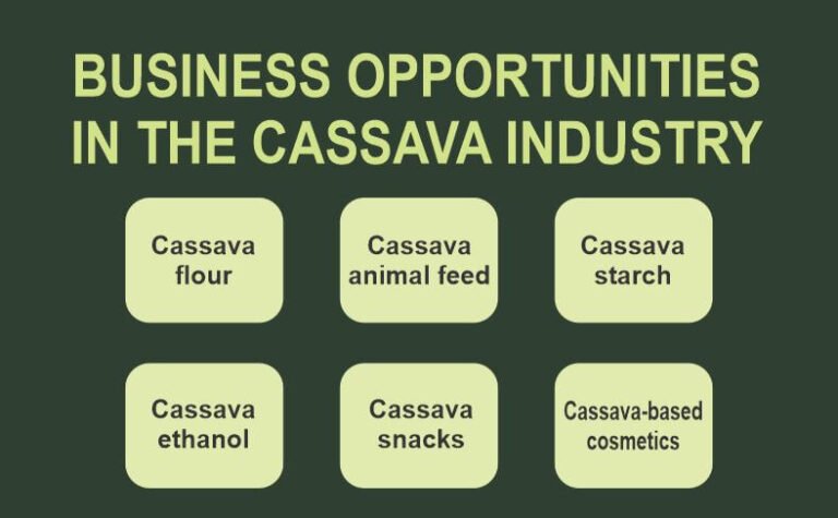 Introduction to Cassava Entrepreneurship