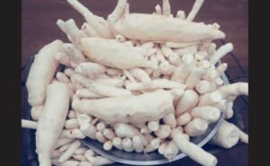What is Garri? Cassava Flakes and How it's Produced