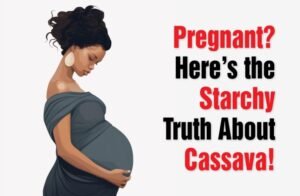 Cassava and Pregnancy: Benefits, Risks, and Recommendations