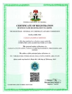 The Cassava Root: Description, Parts and Anatomy