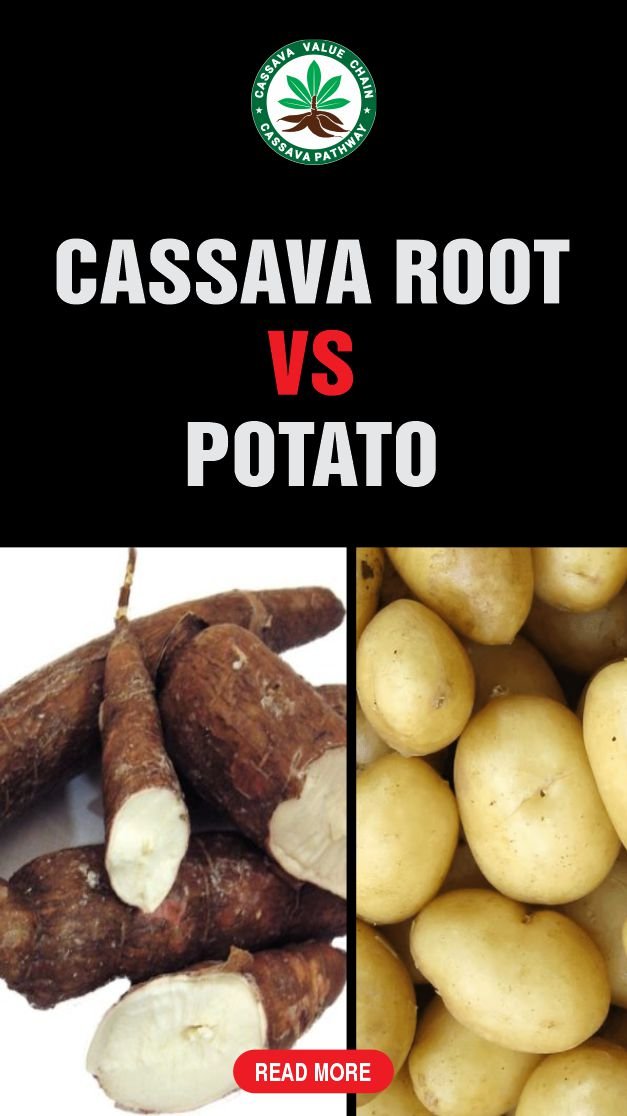 Cassava Root vs Potato: A Comprehensive Comparison