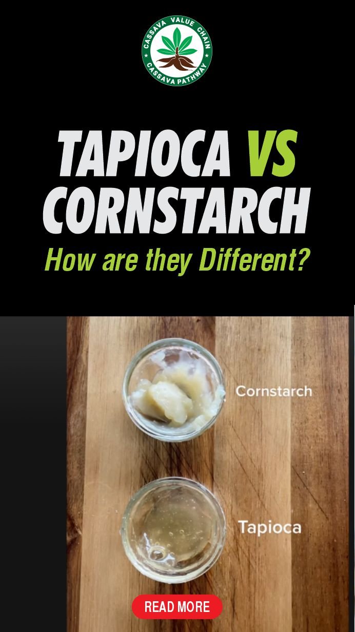 Tapioca vs Cornstarch