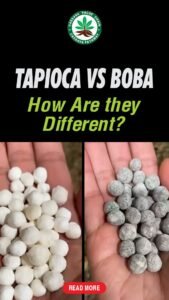 Tapioca vs Boba: What’s the Difference?