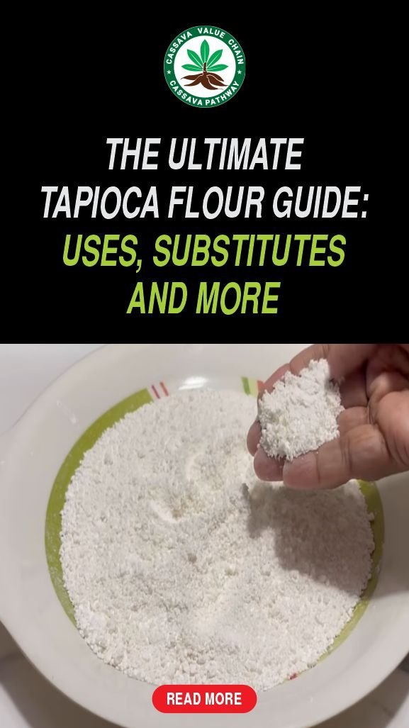 What is Tapioca Flour? Uses and Benefits