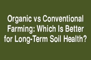 Organic vs Conventional Farming: Which Is Better for Long-Term Soil Health?