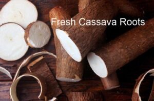 How to Make Cassava Starch at Home