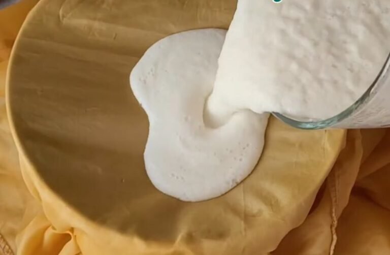 How to Make Tapioca: From Cassava to Tapioca Starch and Flour