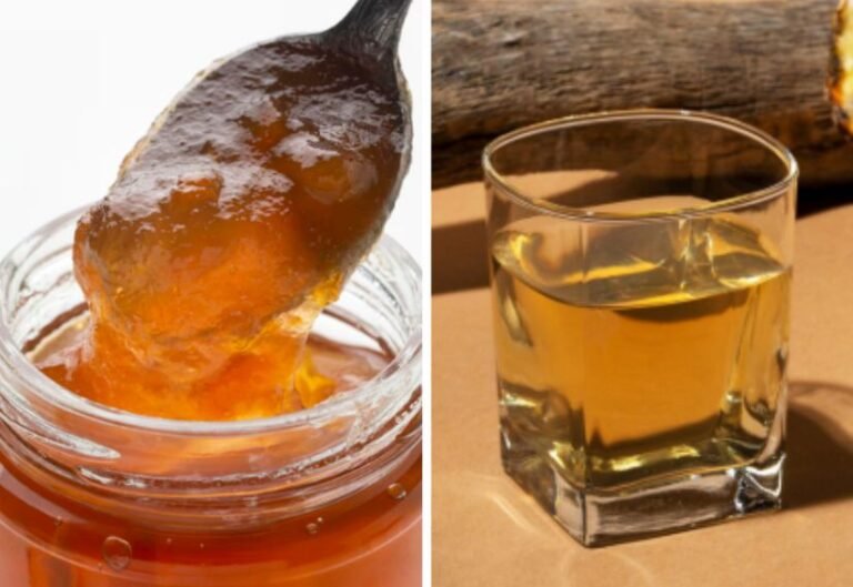 Tapioca Syrup vs Agave Syrup