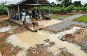 Cassava Wastewater and Effluent Management
